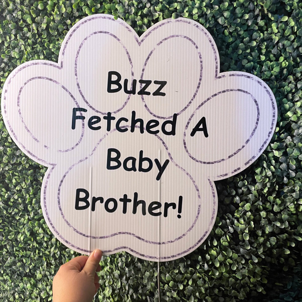 Why Choose Our Stork Signs? | Stork Handler Central