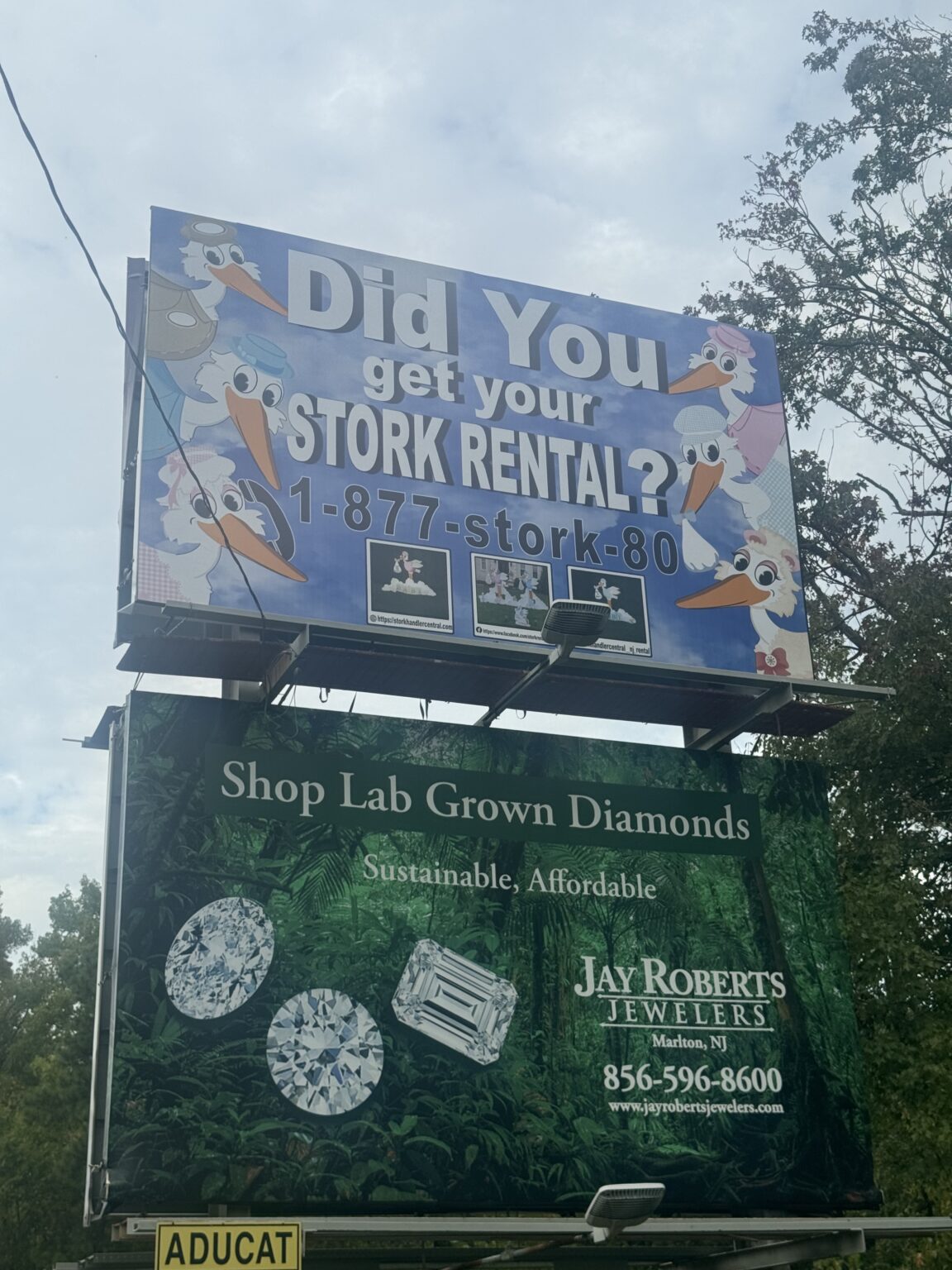 Stork Rental in Delaware - Stork Handler Central – Nationwide Stork ...