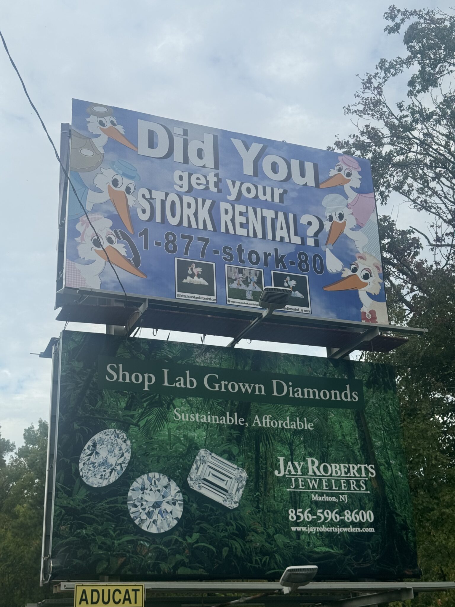 Full Service Retailer & Wholesale Stork Announcement - Stork Handler ...